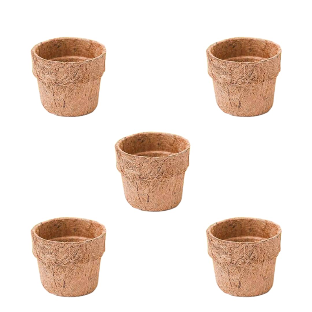 Coco Coir Pot Eco-Friendly and Bio-Degradable Planter Pot (4 inch Size ...