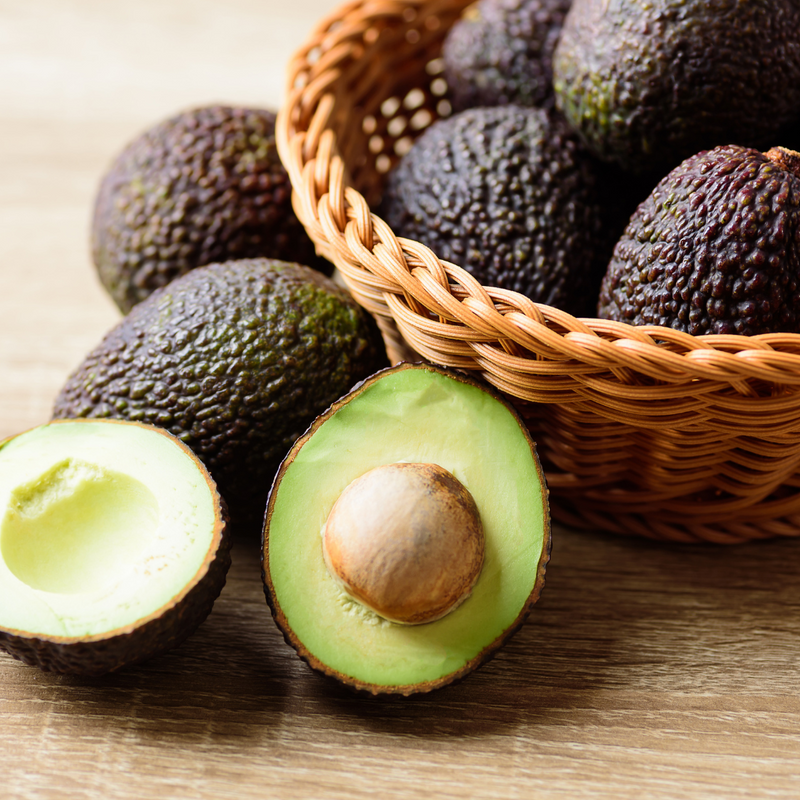 Avocado - Lamb Hass - Fruit Plant – M-Tech Gardens