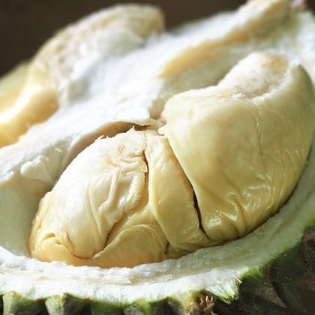 Durian - Golden Phoenix - Fruit Plant – M-Tech Gardens