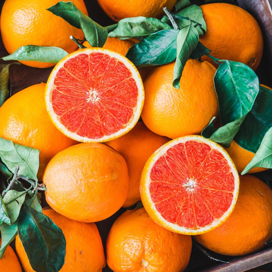Citrus Orange - Blood Red Orange - Hybrid Fruit Plant – M-Tech Gardens