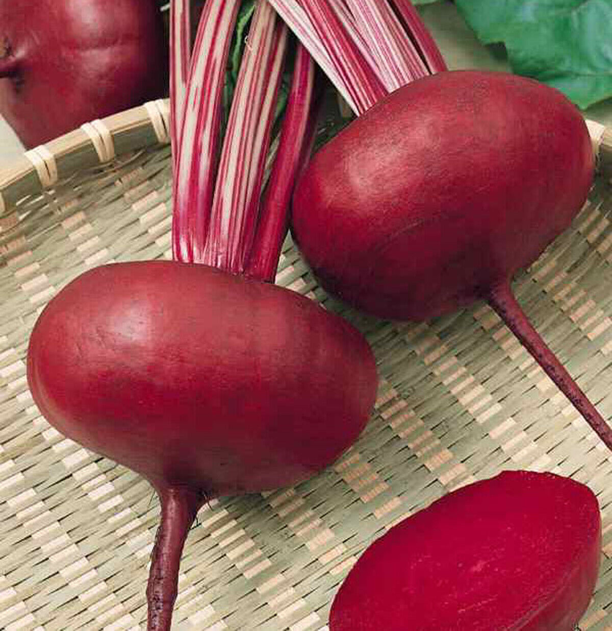 Beet Root " Red Flat " Exotic 20 Vegetable Seeds – M-Tech Gardens