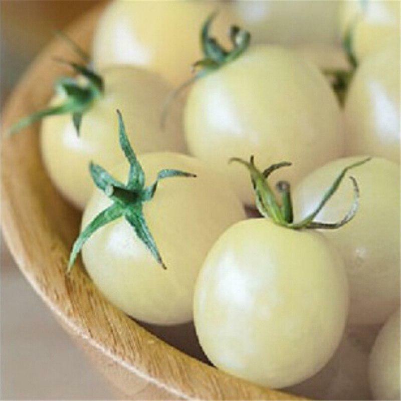 Tomato " Snow White " Exotic 30 Vegetable Seeds – M-Tech Gardens