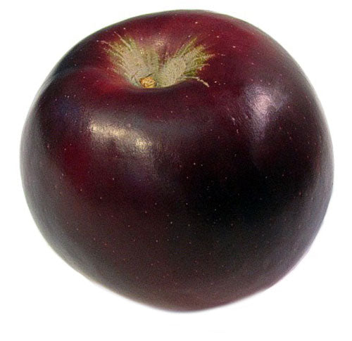Apple " Arkansas Black " Exotic 10 Fruit Seeds – M-Tech Gardens